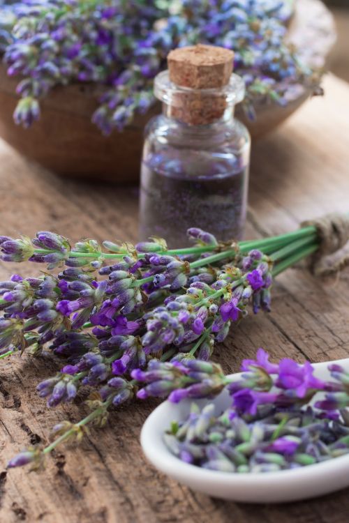 Lavender Syrup | How To Make Easy Homemade Lavender Simple Syrup ...